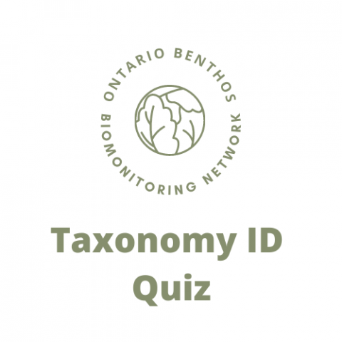 Taxonomy ID Quiz | Learnful